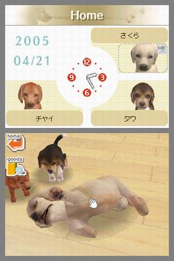 Galería de imágenes de Nintendogs: Labrador and Friends 2005 (3 de 4)